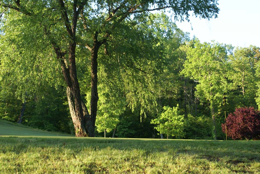 Gallery - Golden Pheasant Golf Club