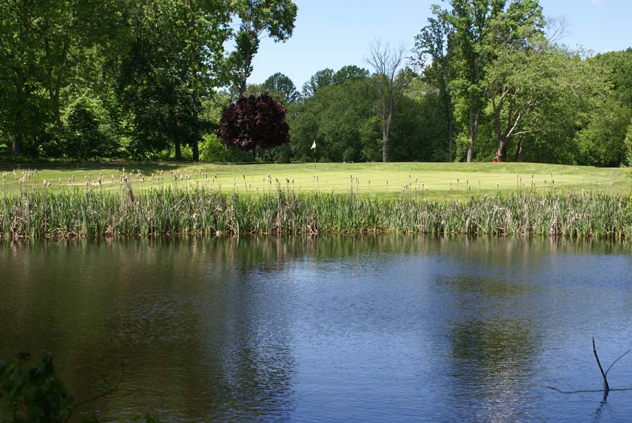 Gallery - Golden Pheasant Golf Club