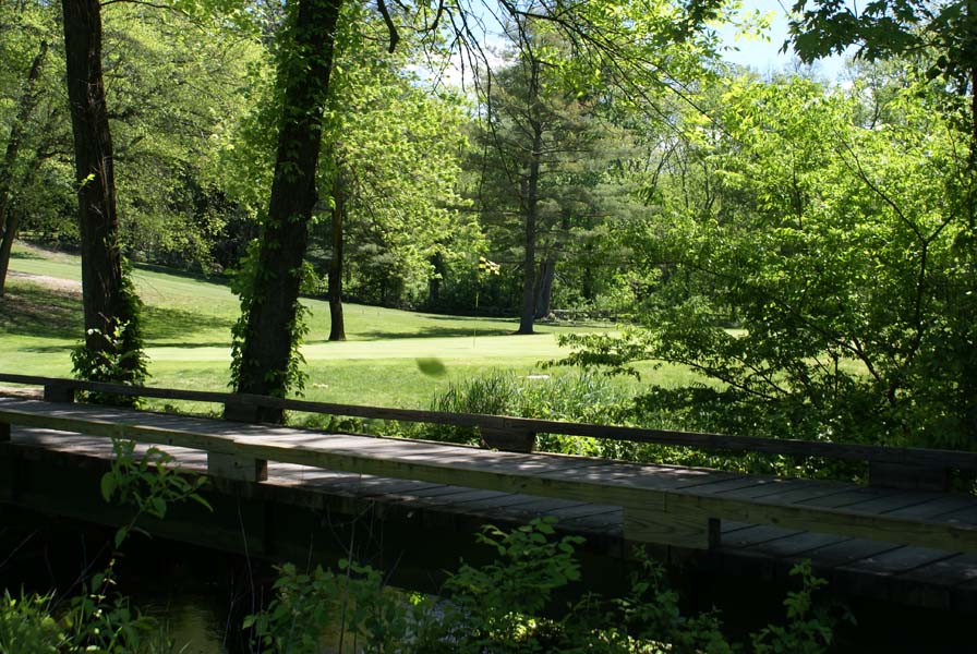 Gallery - Golden Pheasant Golf Club