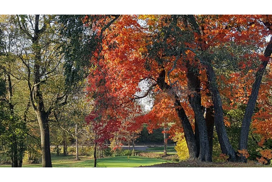 Gallery - Golden Pheasant Golf Club